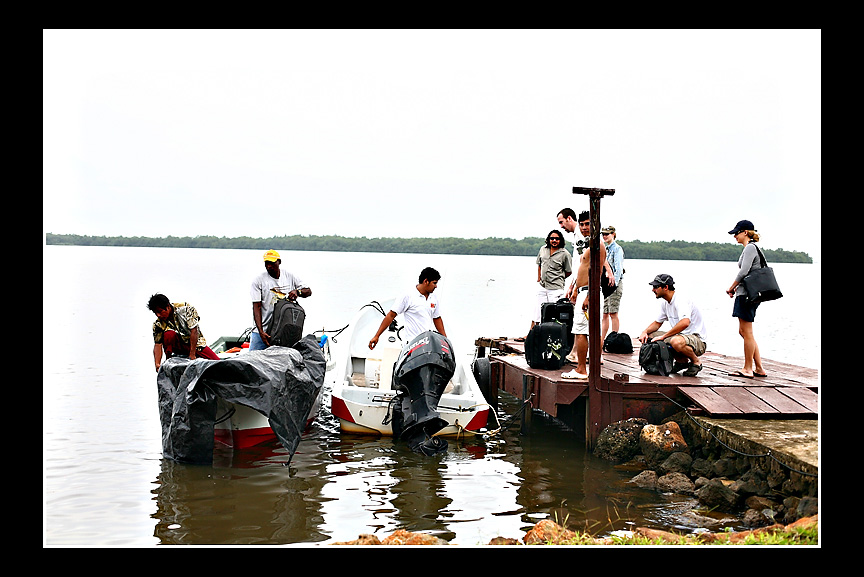 Little Eden Cay : Photo Journal - Jasmine Star