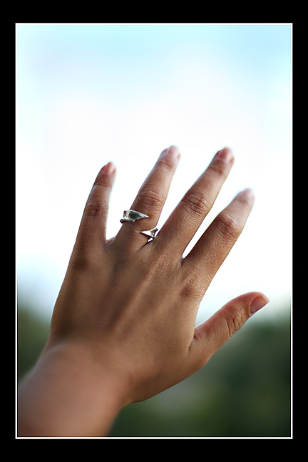 Little Eden Cay : Photo Journal - Jasmine Star