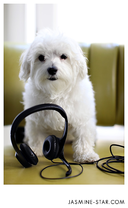 Polo, On Outsourcing - Jasmine Star