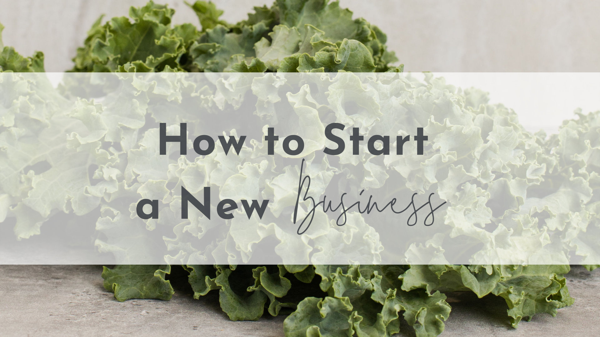 How to Start a Brand New Business - Jasmine Star