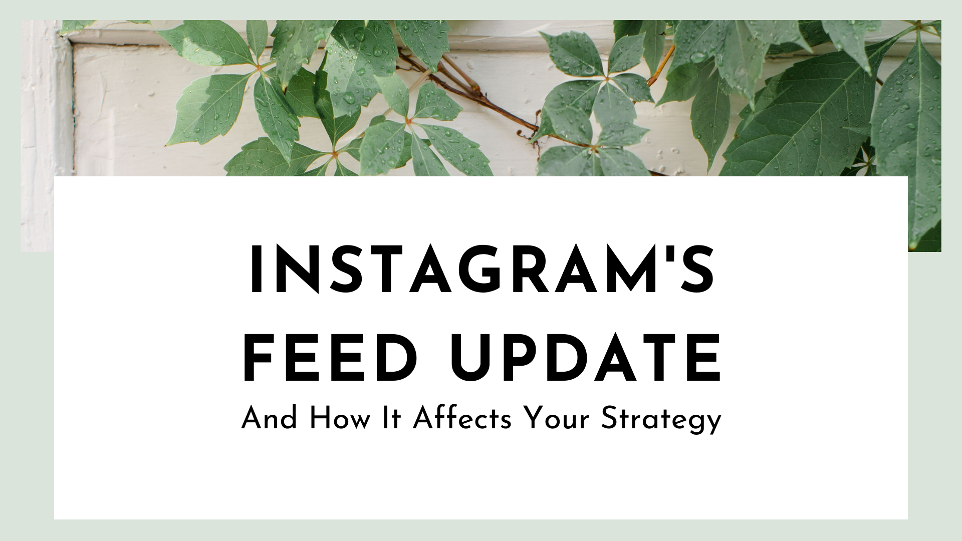 How Instagram’s Feed Update Affects Your Strategy - Jasmine Star