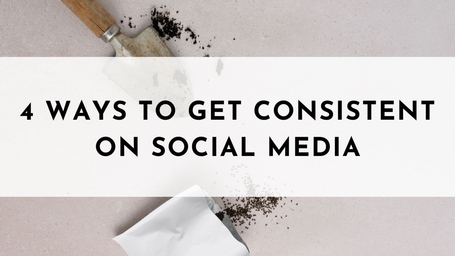4 Ways to Get Consistent on Social Media - Jasmine Star